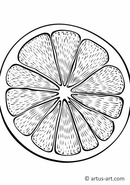 Orange Slice Coloring Page » Free Download » Artus Art
