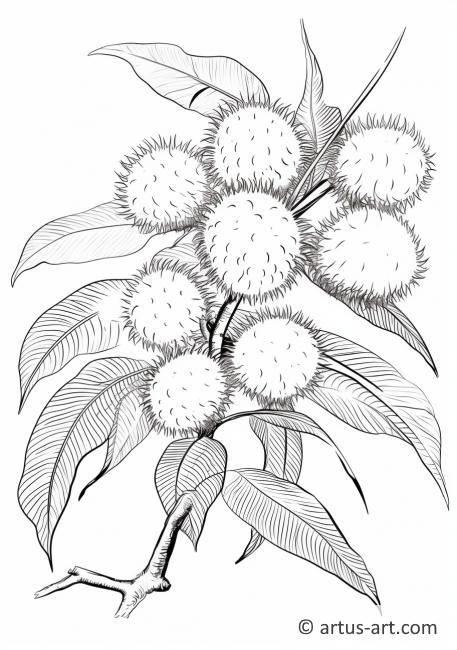Rambutan Branch Coloring Page » Free Download » Artus Art