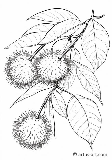 Rambutan Cluster Coloring Page » Free Download » Artus Art