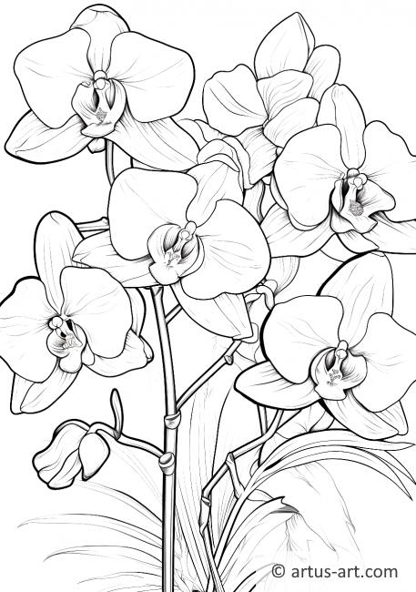 Orchids in the Wild Coloring Page » Free Download » Artus Art