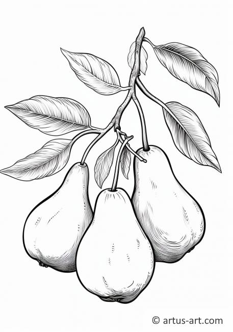 Pear Branch Coloring Page » Free Download » Artus Art