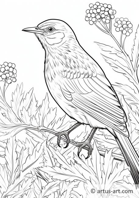 Brown thrasher Coloring Page For Kids » Free Download » Artus Art