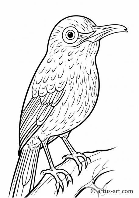 Brown thrasher Coloring Page » Free Download » Artus Art