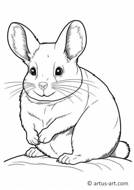 Chinchilla Coloring Page » Free Download » Artus Art