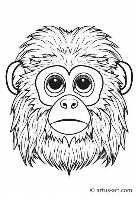 Bald Uakari Coloring Page » Free Download » Artus Art
