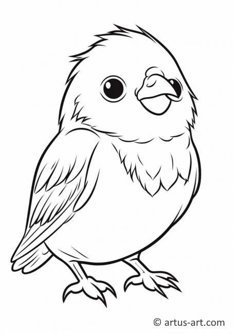 Canary Coloring Page » Free Download » Artus Art