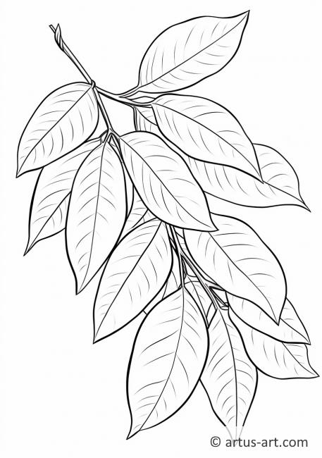 Mango Leaves Coloring Page » Free Download » Artus Art