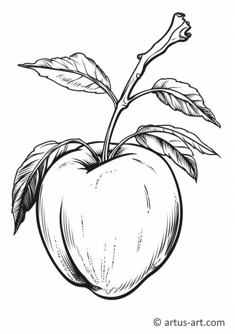 Nektarinen Kunst Ausmalbild » Gratis Ausdrucken & Ausmalen » Artus Art