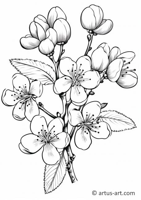 Plum Blossom Coloring Page » Free Download » Artus Art