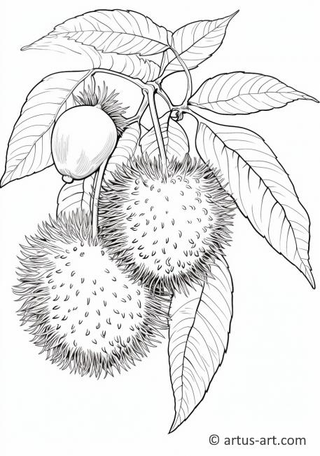 Rambutan Artwork Coloring Page » Free Download » Artus Art