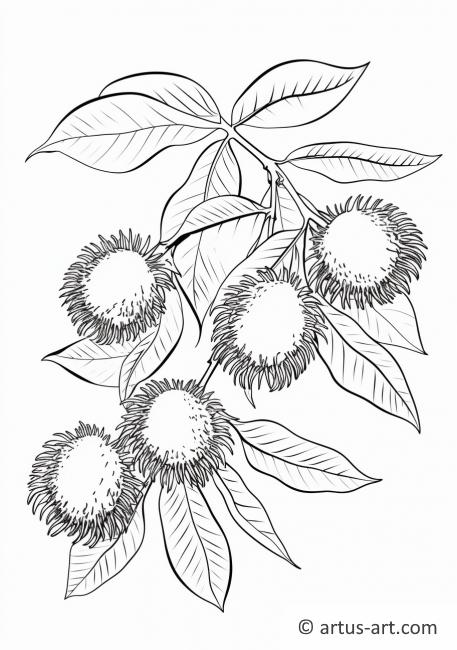 Rambutan Branch Coloring Page » Free Download » Artus Art