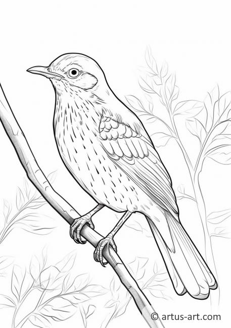 Awesome Brown thrasher Coloring Page For Kids » Free Download » Artus Art
