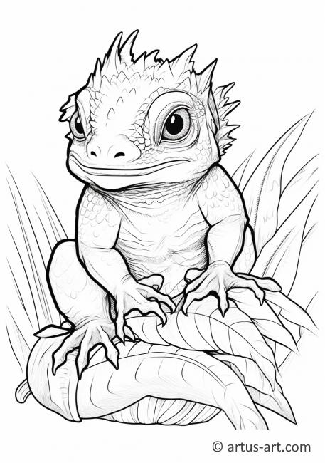 Awesome Tuatara Coloring Page For Kids » Free Download » Artus Art