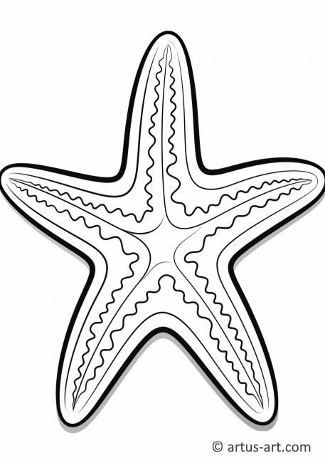 Seestern Ausmalbild » Gratis Ausdrucken & Ausmalen » Artus Art