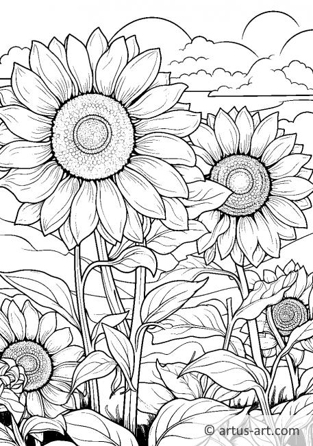 Fields of Sunflowers Coloring Page » Free Download » Artus Art