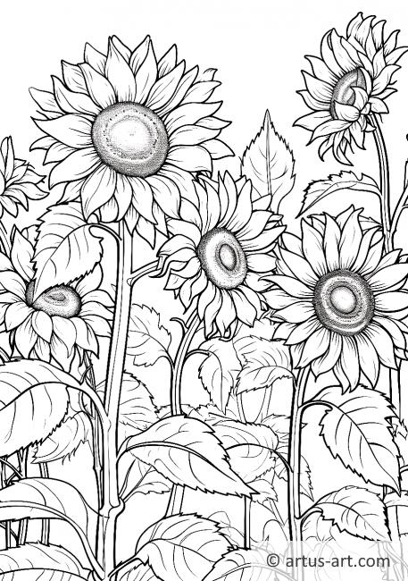 Sunflower Field Coloring Page » Free Download » Artus Art