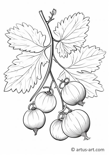 Gooseberry Plant Coloring Page » Free Download » Artus Art