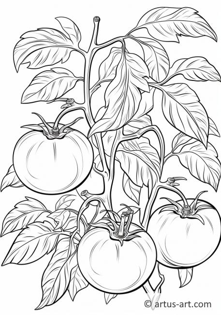 Tomato in a Garden Coloring Page » Free Download » Artus Art